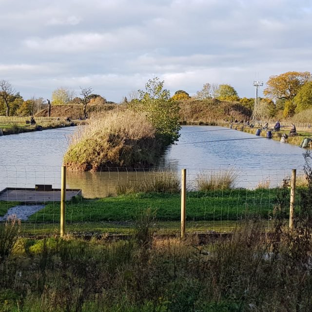 Lake 1 – Cheshire Oaks Fisheries